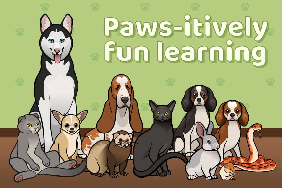 Paw-sitively Fun Learning! • ABCya!