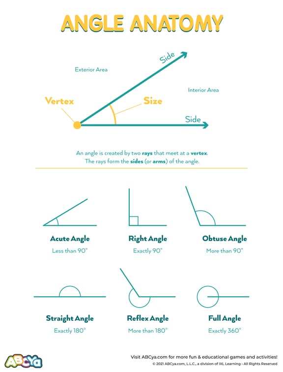 Angle Anatomy • ABCya!